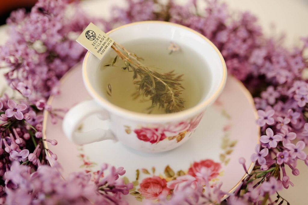 Découvrez les différents types de tisane - Lafota
